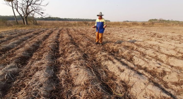 Paraguay lanza medidas para hacer frente a una fuerte sequía – Revista PLUS