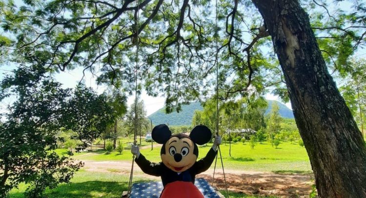 Mickey Paraguay cumple 53 años acompañando todos tus momentos – Revista ...