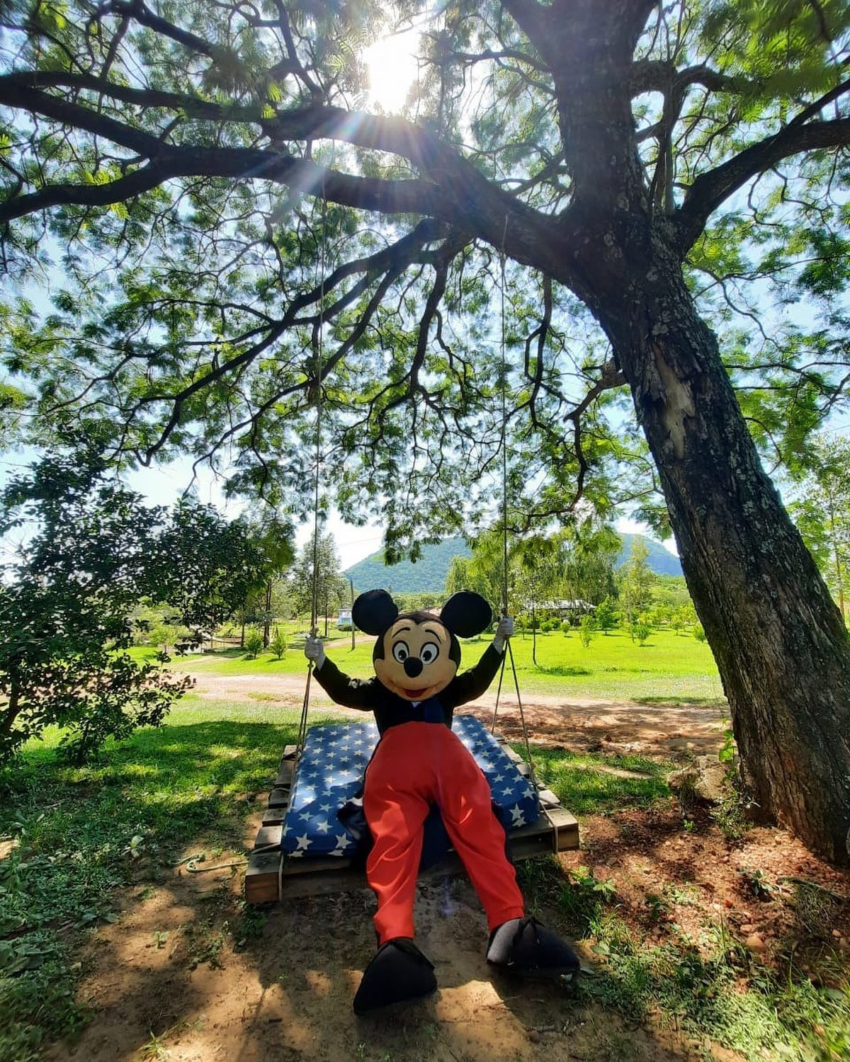 Mickey Paraguay cumple 53 años acompañando todos tus momentos – Revista ...